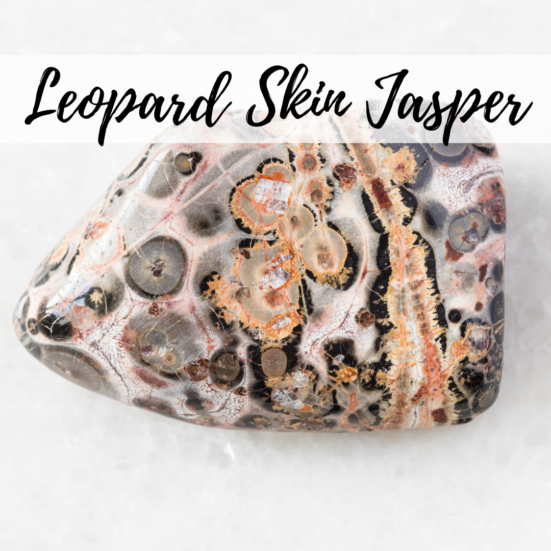Leopard Skin Jasper – shopumj